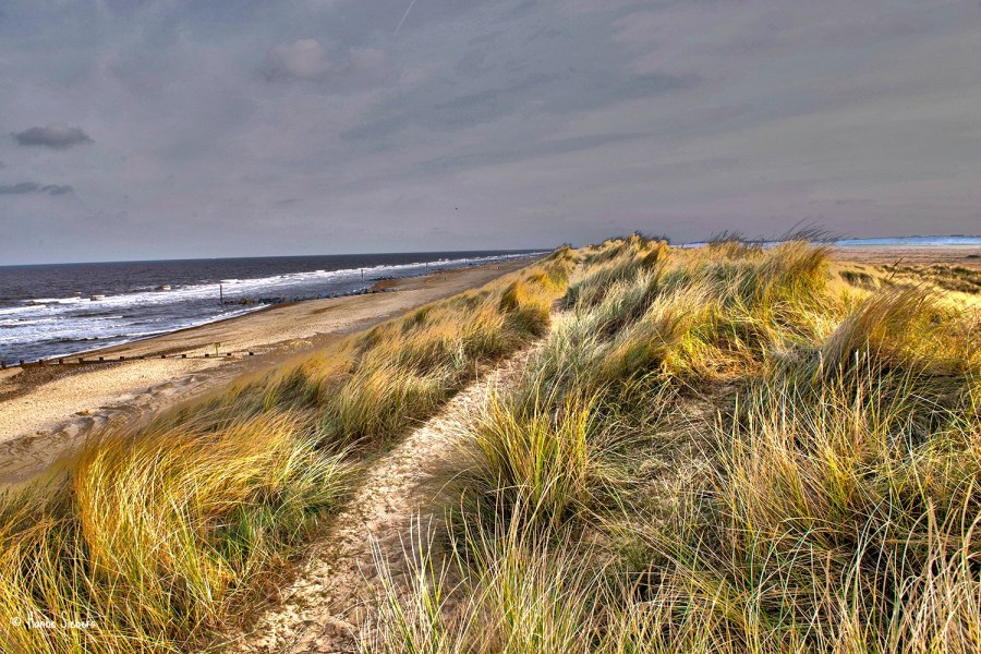 March in North Norfolk | FabFourBlog