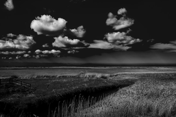 Black & White Infrared Photography | FabFourBlog