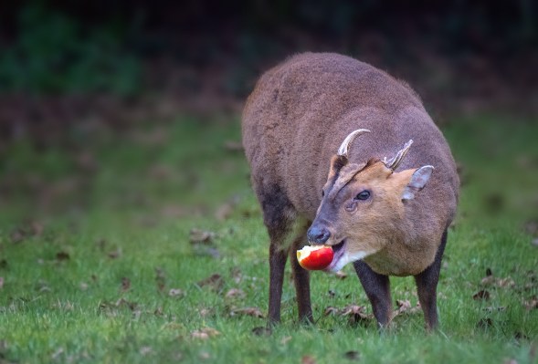 Wildlife in the garden | FabFourBlog
